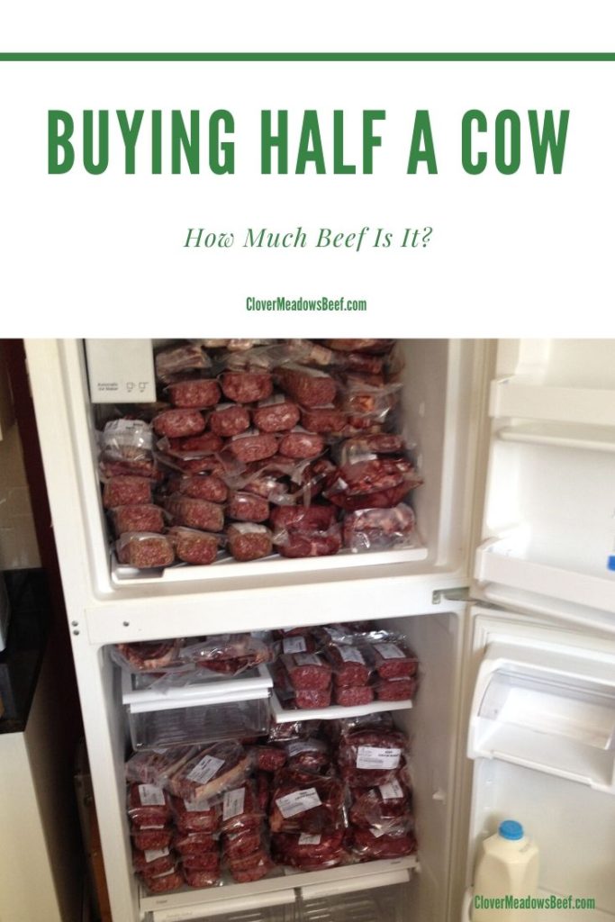 Buying a half cow or whole cow. How much beef is it? (video) - Clover ...