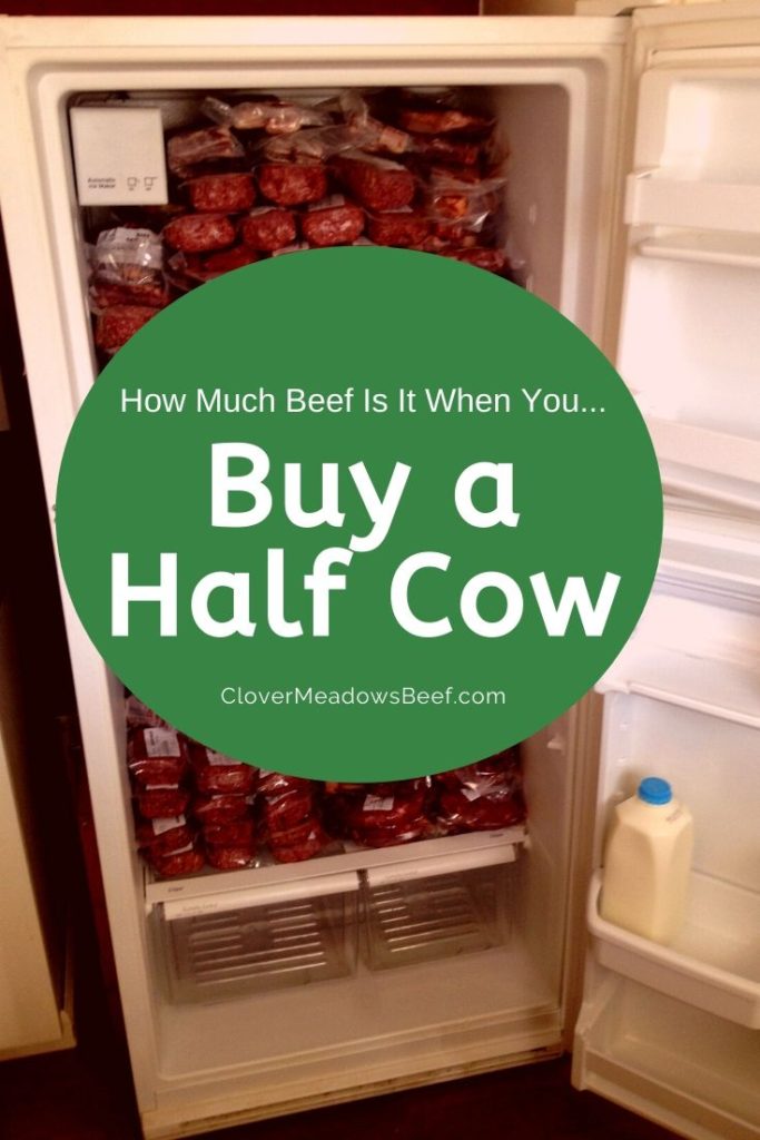 Buying a half cow or whole cow. How much beef is it? (video) - Clover ...