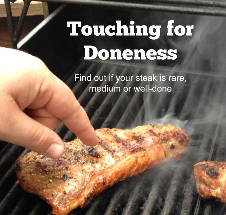 Steak Doneness Temperature Guide: Thermometer and Touch Test - Clover ...