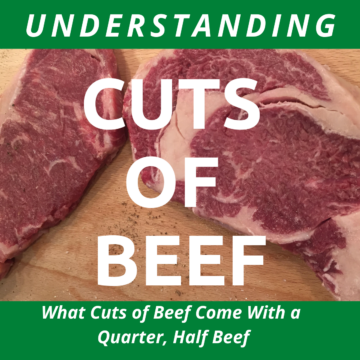 Buying a half cow. How much beef is it? (video) - Clover Meadows Beef