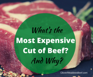 What's the Most Expensive Cut of Beef? - Clover Meadows Beef