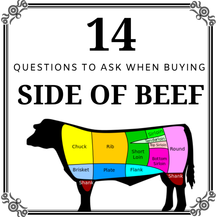 SIDE-OF-BEEF-CLOVER-MEADOWS-BEEF-GRASS-FED-BEEF-HALF-BEEF-1 - Clover ...