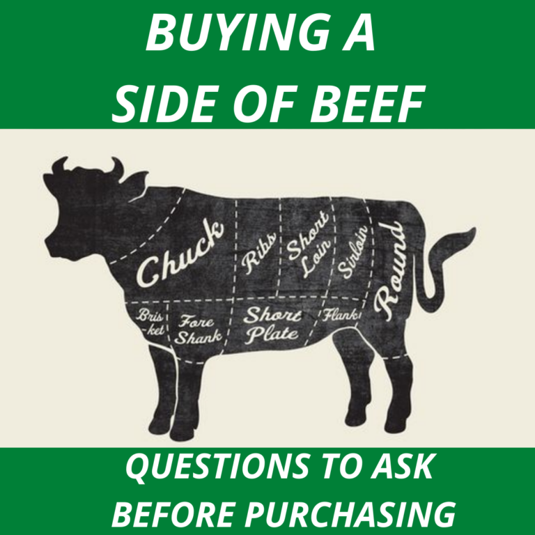 What Everyone Ought to Know About Beef Cuts Guide - Clover Meadows Beef