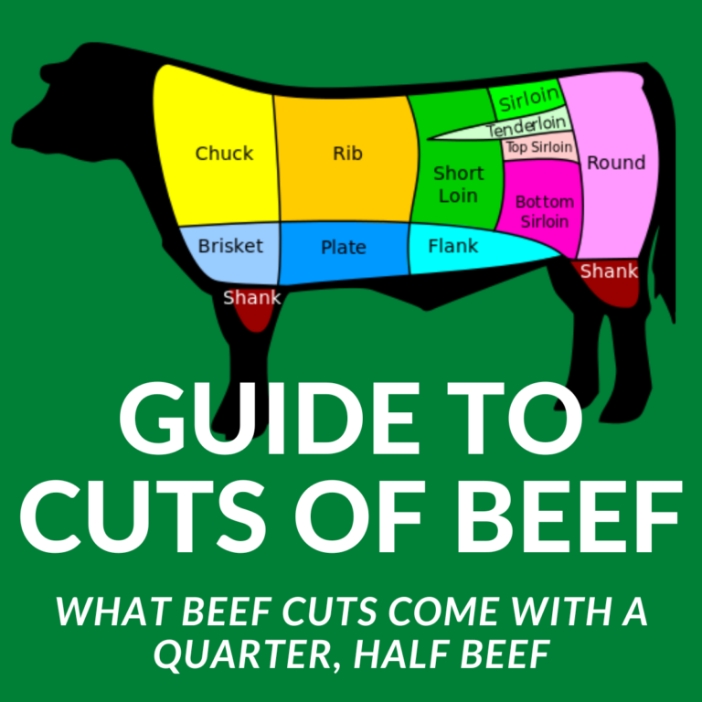 Questions to Ask Before Buying a Side of Beef (Half Beef) - Clover ...