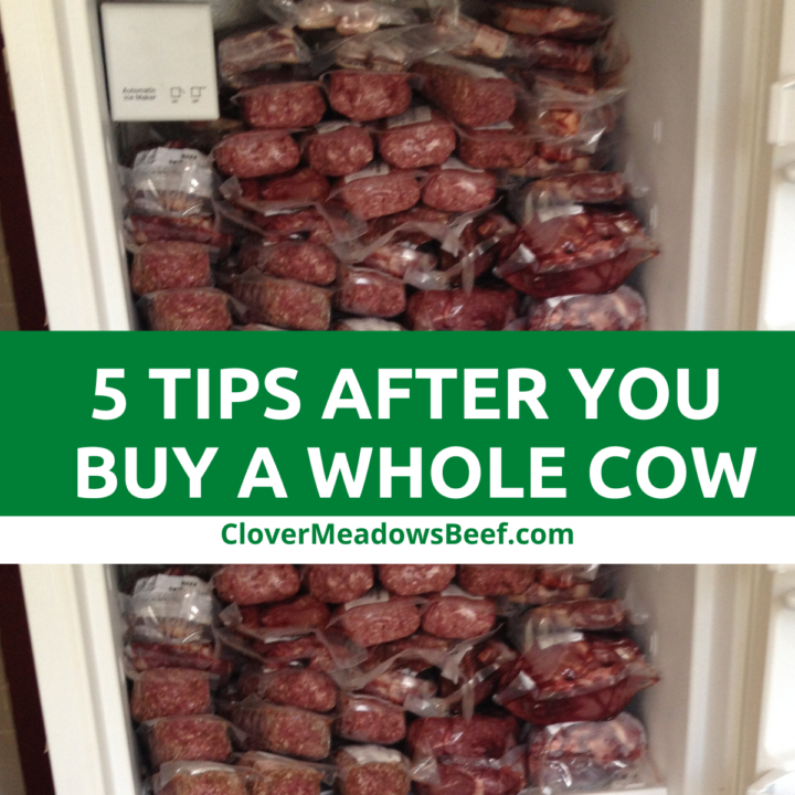 5 Tips After You Buy a Whole Cow - Clover Meadows Beef