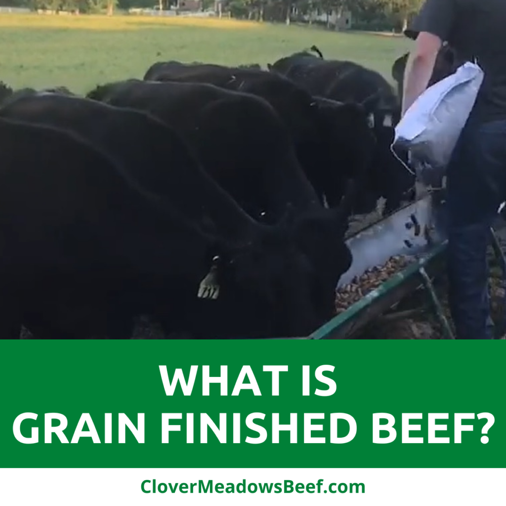 grain-finished-beef-clover-meadows-beef-grass-fed-beef-missouri ...