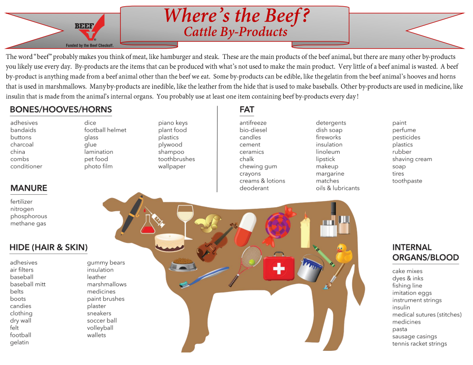 Beef Cow vs Dairy Cow: The Difference Between Cattle - Clover Meadows Beef